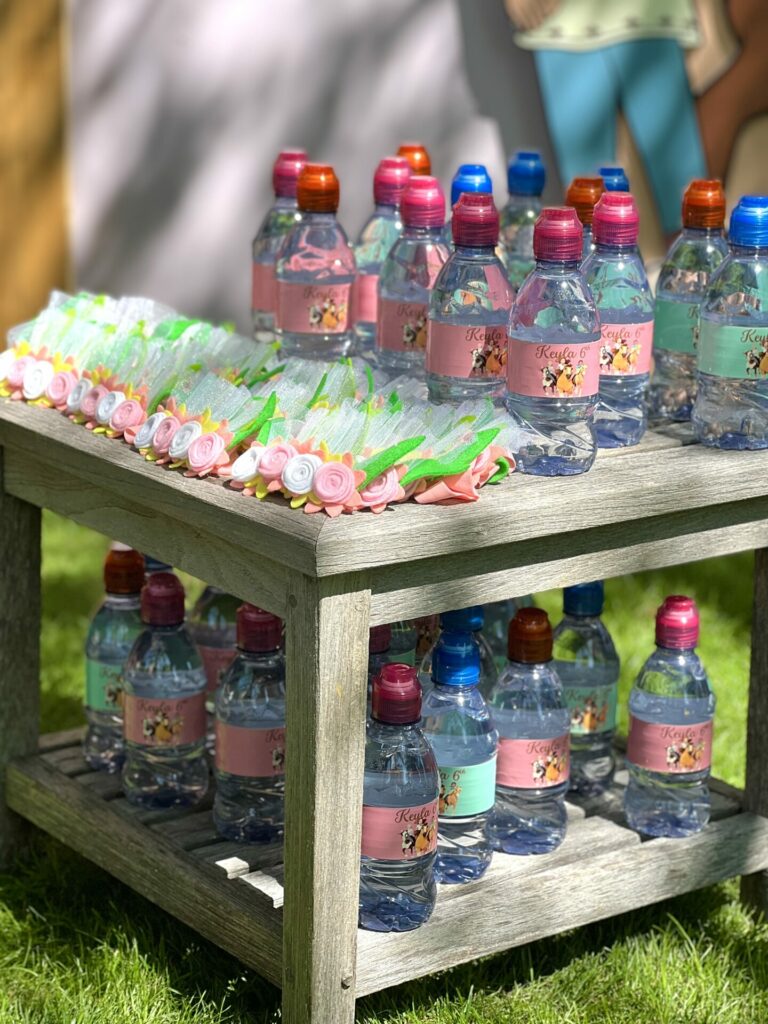 Anniversaire Spirit - CH Planner