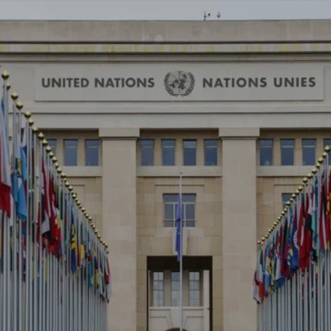 75 years of Human Rights - CH Planner